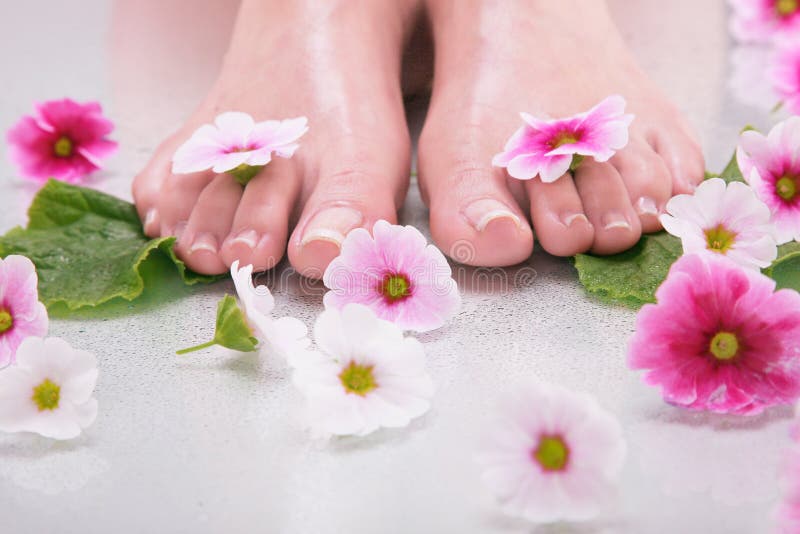 Spa Treatment of a Beautiful Female Feet Stock Image - Image of care ...