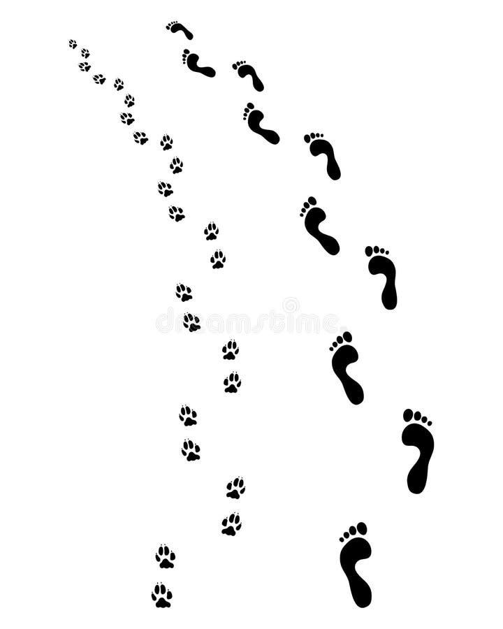 Feet and dog paws stock illustration. Illustration of path - 89664213