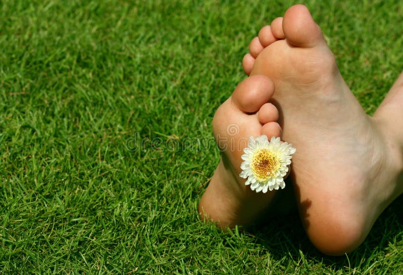 Feet and the flower stock photo. Image of light, nature - 23674744
