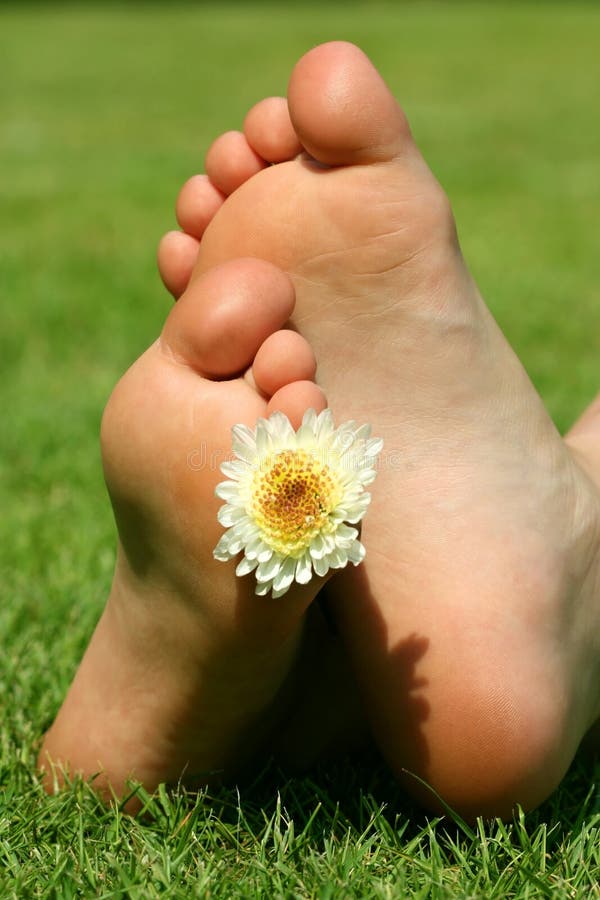 Feet and the flower stock image. Image of light, lawn - 23674685