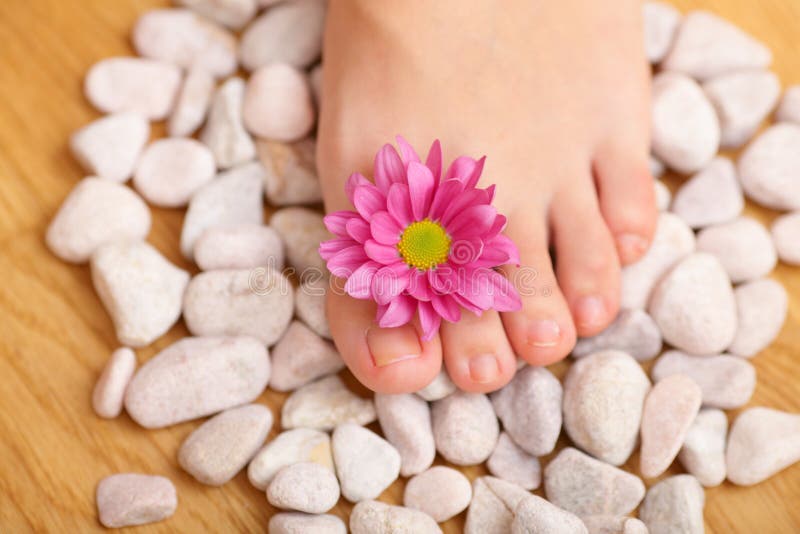 Feet and flowers stock photo. Image of pamper, fresh - 16681092