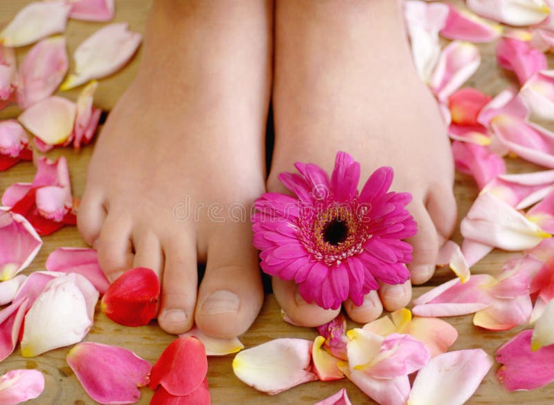 Pampered Feet stock photo. Image of beauty, pedicure, bowl - 1645664