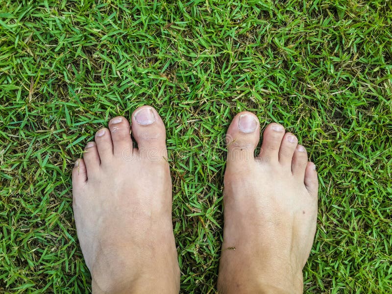 Feet on grass field stock image. Image of fresh, barefeet - 52398935