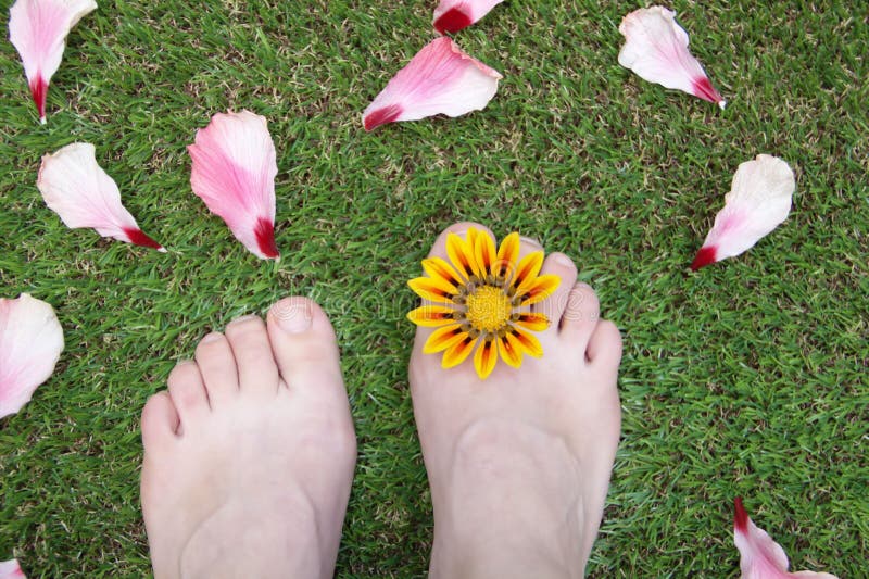 Feet on the Grass with Flower Stock Image - Image of harmony, garden ...