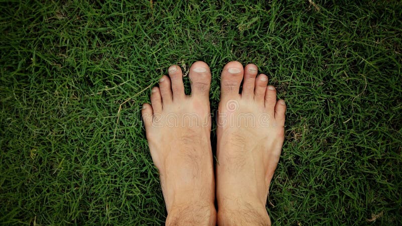 Feet on Green Grass at Lawn in Morning, Beginning Stock Photo - Image ...