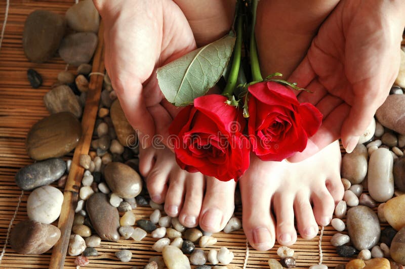 Feet Hands Roses stock photo. Image of botanical, rocks - 1953216