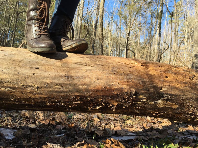 Feet on a log stock photo. Image of wearing, boots, rotting - 66103066