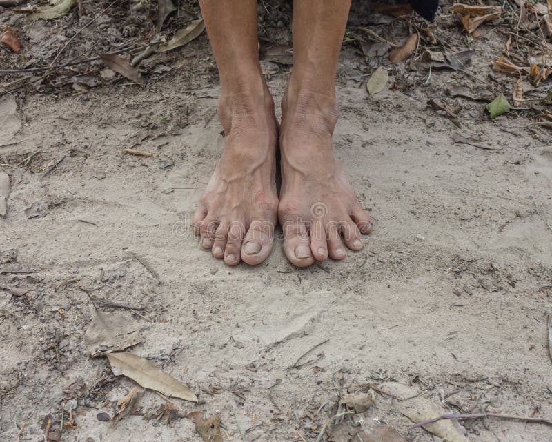 Feet of an old woman stock photo. Image of appendage - 64900514