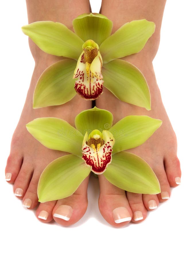 165 Female Beautiful Pedicured Feet Stock Photos - Free & Royalty-Free ...