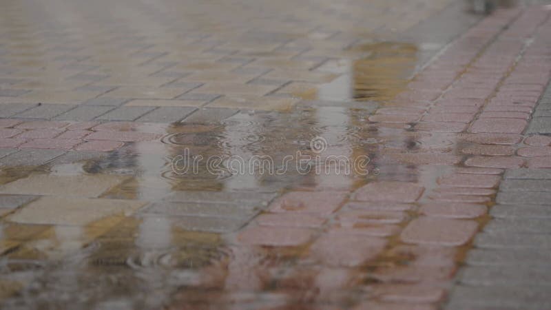 Raindrops Fall on Wet Pavement with Reflection. Stock Video - Video of ...