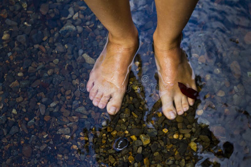 Feet in river water stock image. Image of stream, peace - 55295967