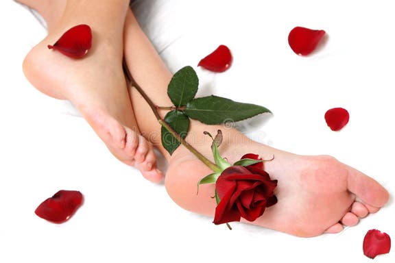 Feet and Rose stock photo. Image of love, flower, sensual - 1811998