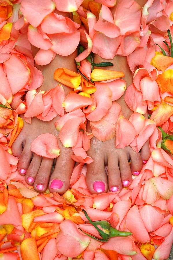 Feet in rose leaves stock image. Image of flower, elegance - 27592471