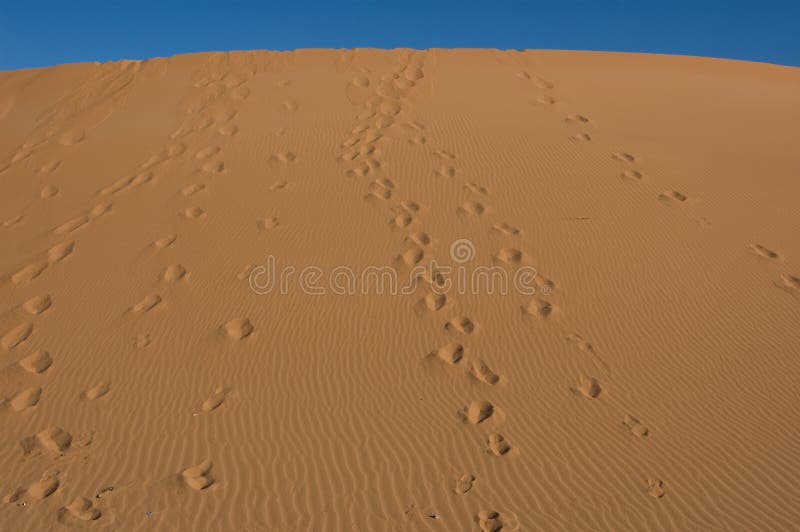 Feet running in the desert stock image. Image of scenery - 8031311