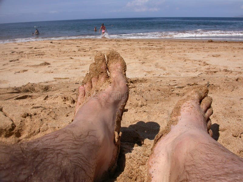 Clumpy Beach Stock Photos - Free & Royalty-Free Stock Photos from ...