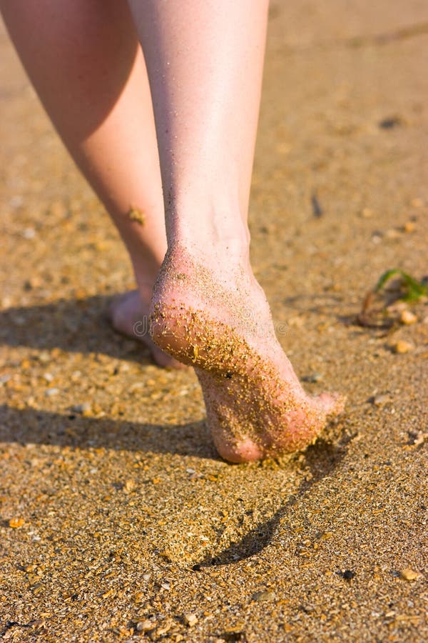 Feet on sand stock photo. Image of female, summer, feet - 9956464
