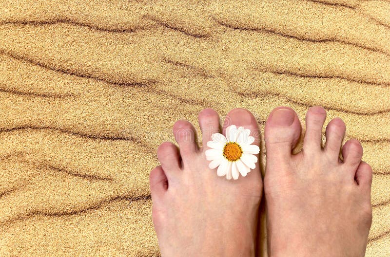 Feet on the Sand with a Flower in the Toe Light Background Stock Image ...