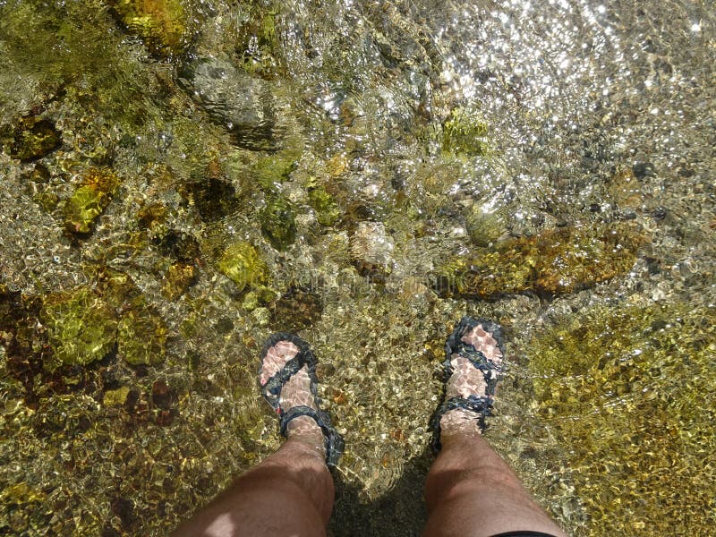 Feet in Sandals Standing in a Clear River. Stock Photo - Image of leaf ...