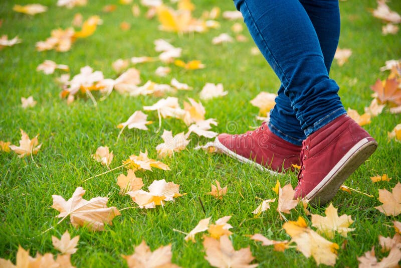 Feet Sneakers Walking on Fall Leaves Stock Image - Image of october ...