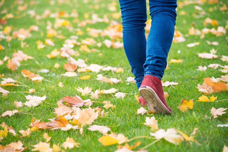 Feet Sneakers Walking on Fall Leaves Stock Image - Image of park, body ...