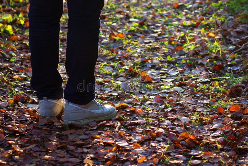 Feet Sneakers Walking on Fall Leaves Stock Photo - Image of design ...
