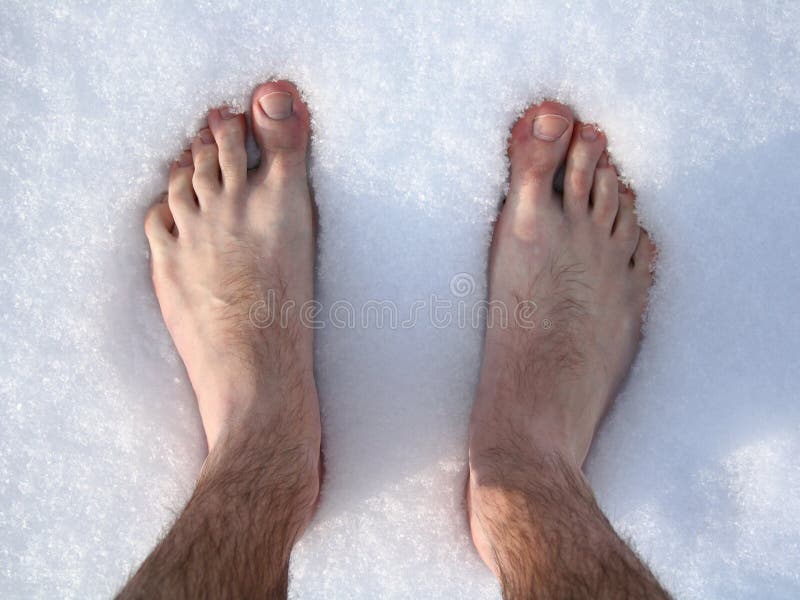 Feet in snow stock photo. Image of toes, frost, tempered - 13554142