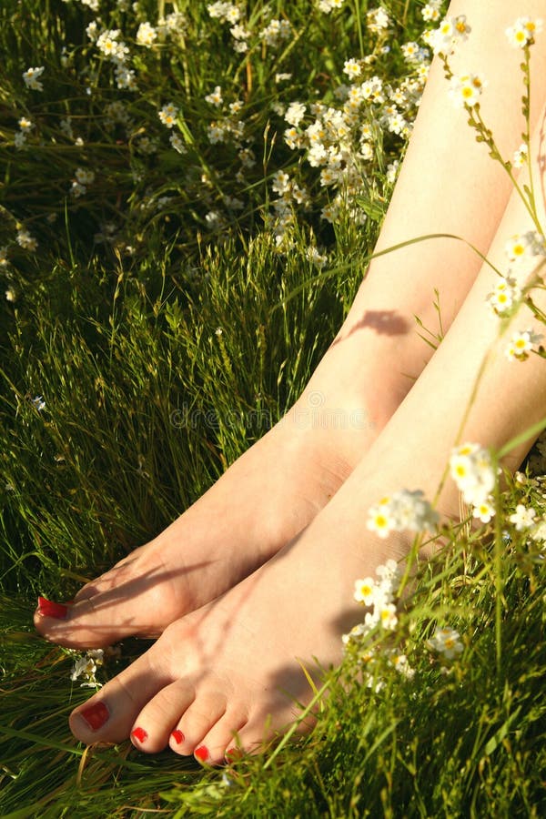 Feet in spring flowers stock photo. Image of freshness - 2573950