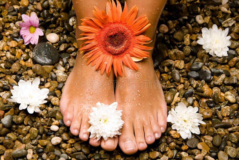 Feet on Stones with Flowers Stock Image - Image of freshness, climate ...
