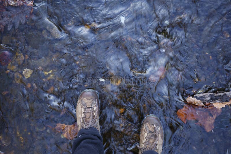 Feet in a Stream stock image. Image of hiking, shoes - 63062353