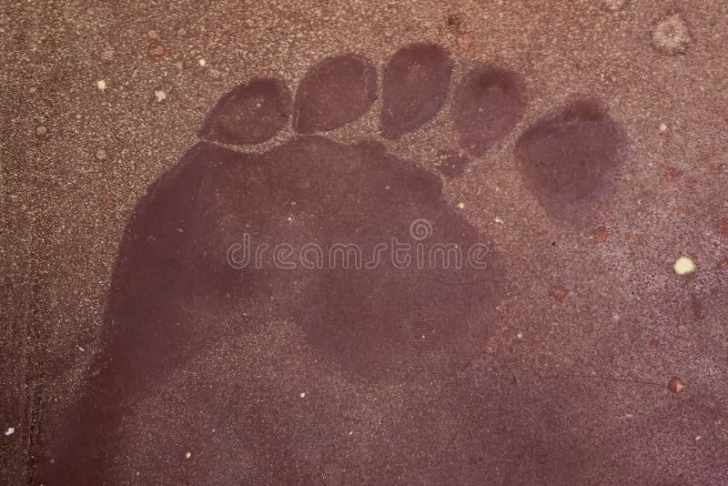 Feet Tread on Footprints on Floor Stock Photo - Image of texture ...