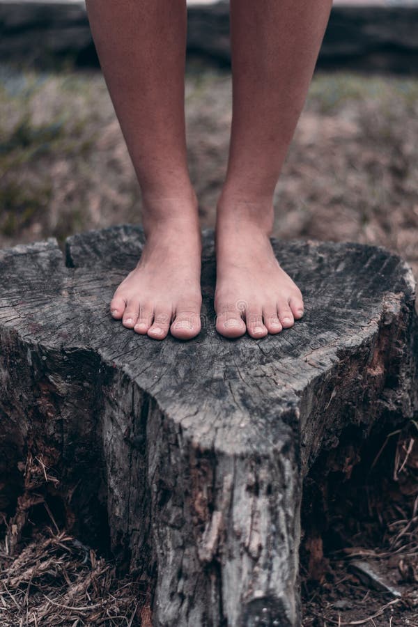 Feet on the Tree in Deforestation Stock Photo - Image of important ...