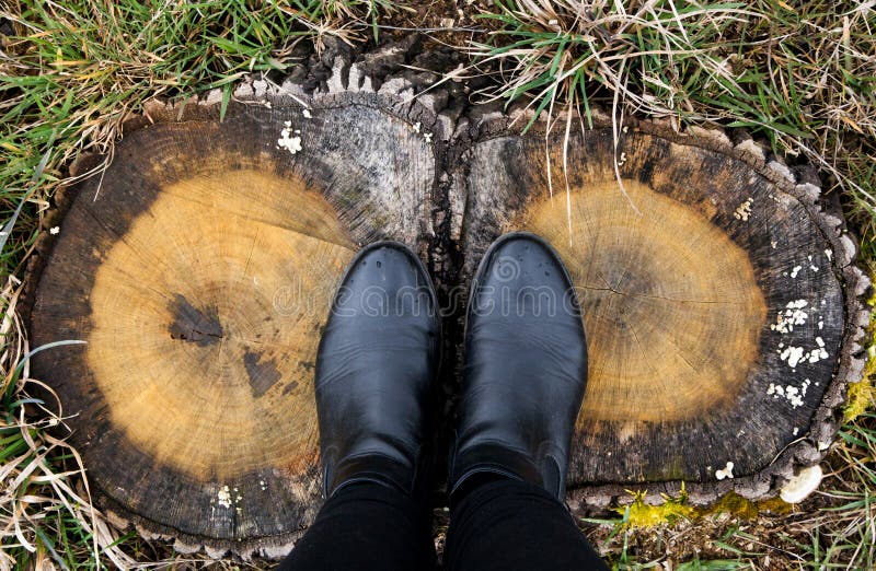 Feet Trendy Young Woman Standing Tree Trunk Stock Photos - Free ...