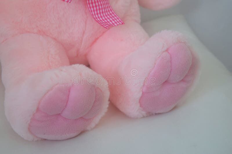 Feet of a Very Cute Pink Teddy Bear Sitting Stock Photo - Image of cute ...