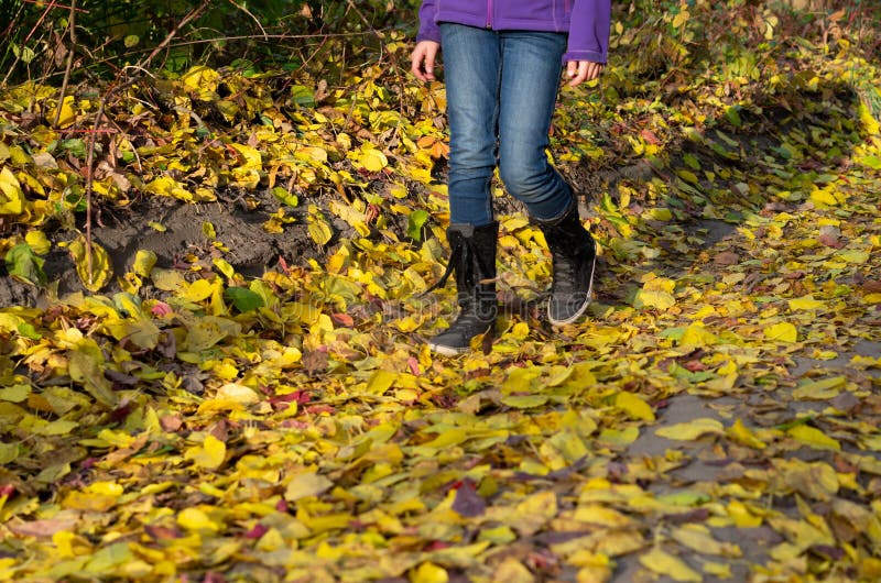 Feet Walking Along the Path. Autumn Path. Walk in the Fall Stock Image ...