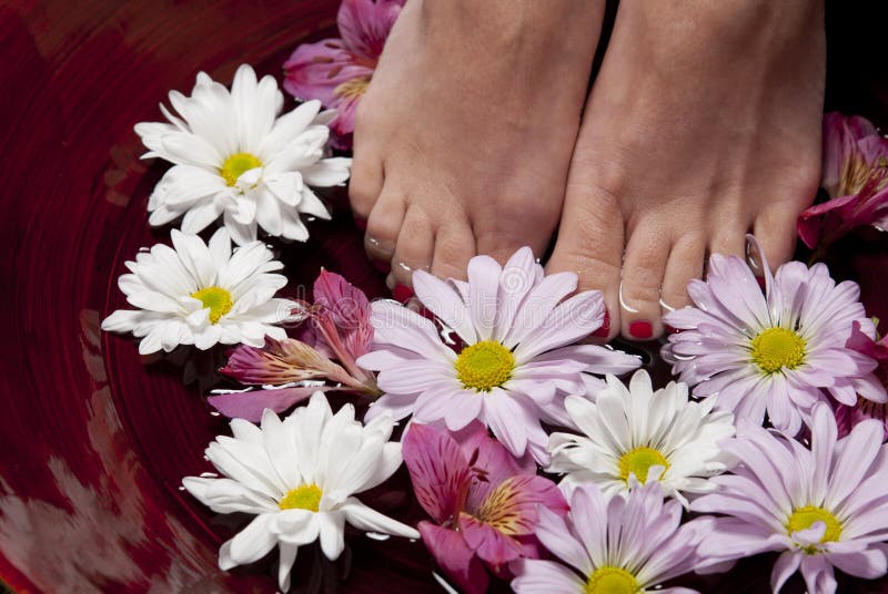 Pampered Feet stock photo. Image of beauty, pedicure, bowl - 1645664