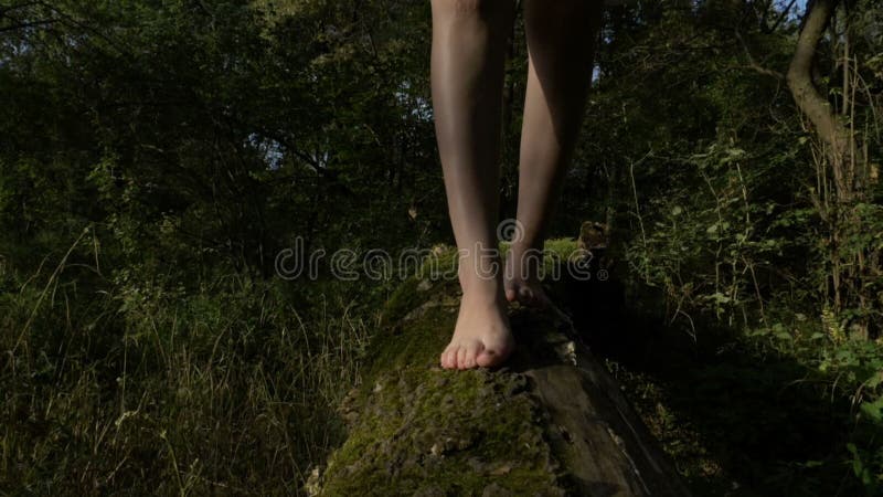 Feet of Young Woman Walking on a Tree Trunk Covered with Bear Moss in ...