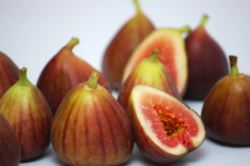 Feigen stockfoto. Bild von sonderkommandos, wachstum, hintergrund - 3299986