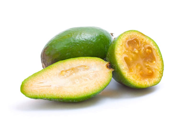5,790 Feijoa Variegata Stock Photos - Free & Royalty-Free Stock Photos ...