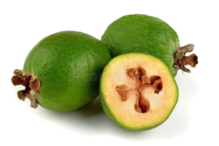 5,790 Feijoa Variegata Stock Photos - Free & Royalty-Free Stock Photos ...