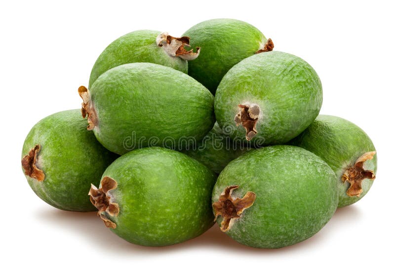 Feijoa stock photo. Image of gourmet, exotic, path, nutrient - 133955772