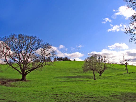 Feild stock image. Image of summer, beautiful, cloud, skies - 760983