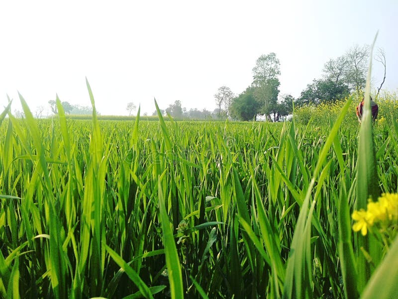 Noonphotography Stock Photos - Free & Royalty-Free Stock Photos from ...