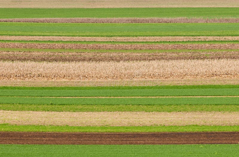 Feld-Muster stockbild. Bild von feld, horizontal, muster - 22320871