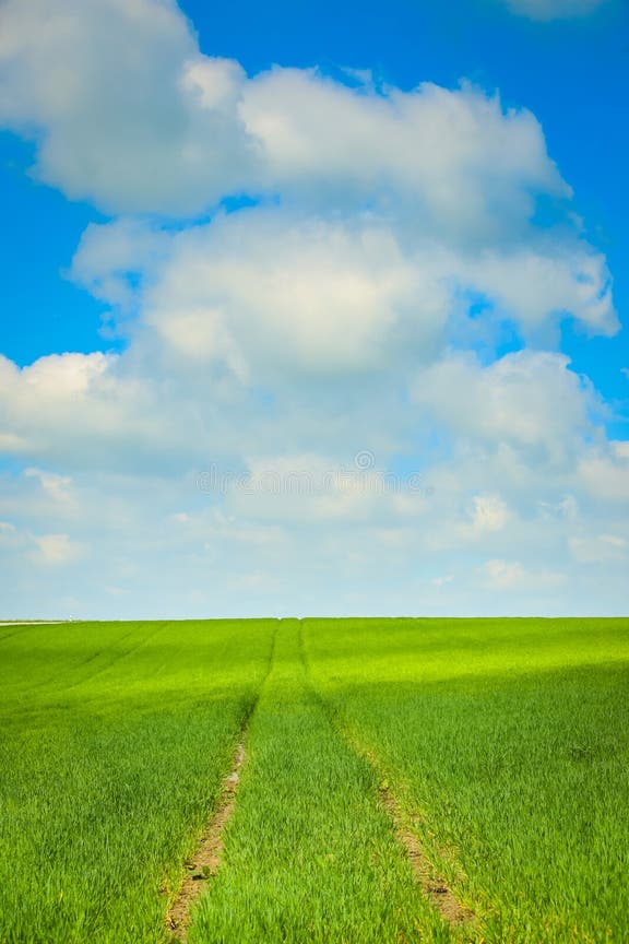Felder von Bayern stockfoto. Bild von landwirtschaftlich - 94911166