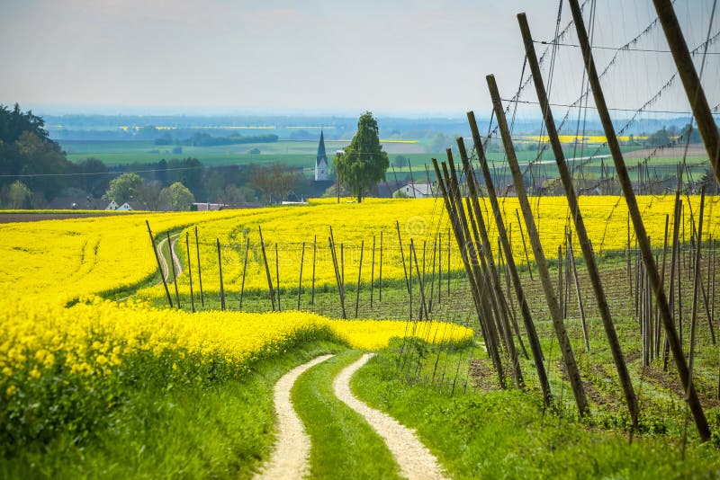 Felder von Bayern stockfoto. Bild von landwirtschaftlich - 94911166