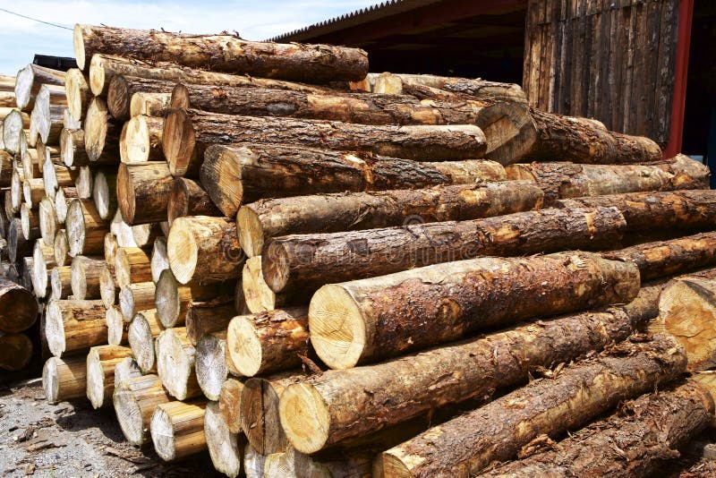 Felled lumber stock image. Image of pile, outdoors, bark - 57426891