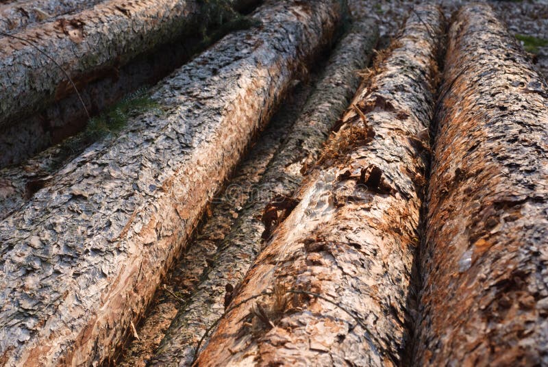 Royalty Free Stock Photos and Images