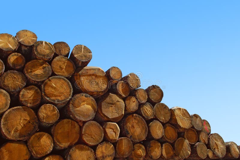 Felling trees stock photo. Image of brown, trunk, industry - 27089576