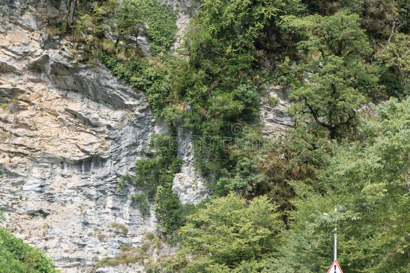 Felsen und Baum stockbild. Bild von himmel, landschaft - 104066775