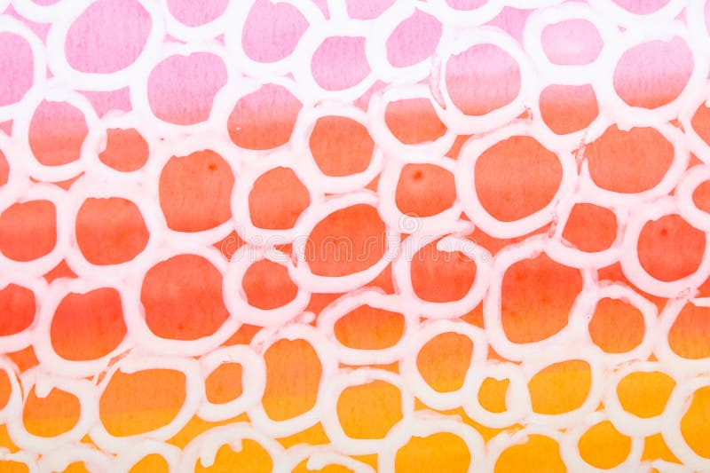 Felt Pen Lines and Colours on a White Background with Bubble Circles ...